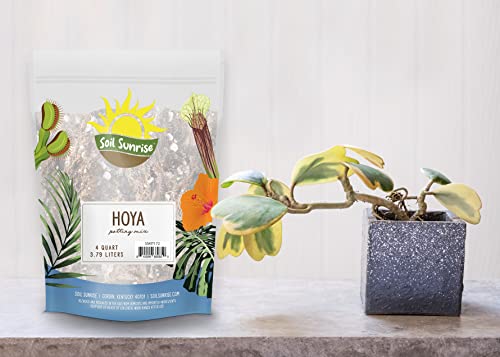 Hoya Plant Potting Soil Mix (4 Quarts), Custom Blend for Growing Hoya Tropical Houseplants