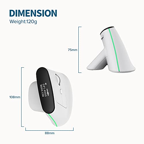 DeLUX Ergonomic Bluetooth Mouse, Wireless Vertical Mouse with OLED Screen, USB Receiver and BT5.0, 4000DPI, 6 Buttons, Ergo Carpal Tunnel Mice Reduce Wrist and Hand Pain(MV6-Medium/Small-White)