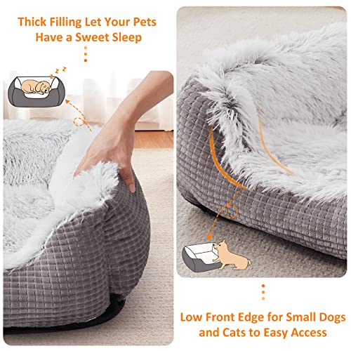 MIXJOY Medium Dog Bed for Medium Small Large Dogs, Washable Orthopedic Dog Sofa Bed, Durable Plush Rectangle Pet Bed, Soft Fluffy Calming Puppy Bed with Anti-Slip Bottom(M, 25''x 21''x 8'')