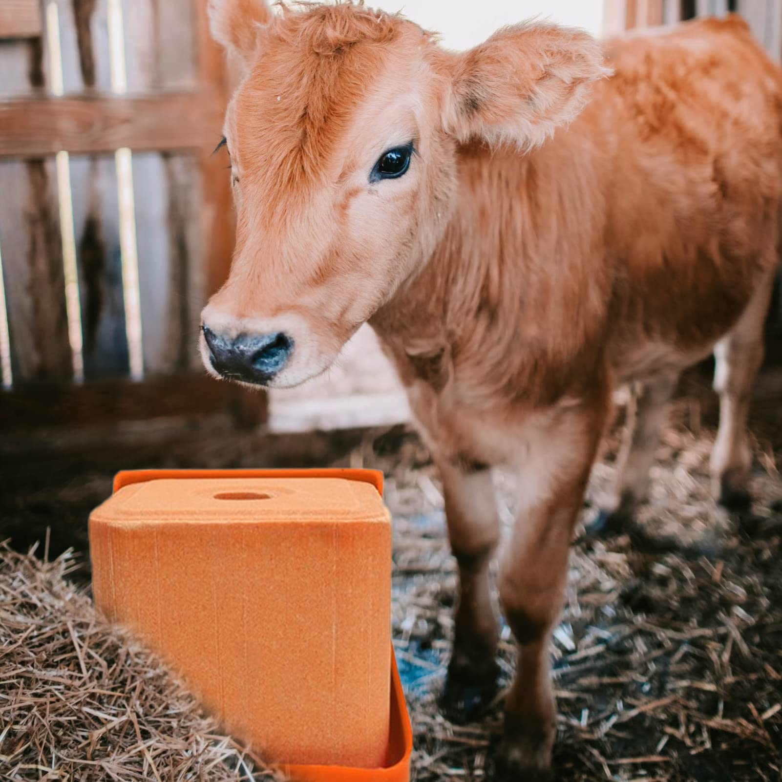 ULTECHNOVO Mineral Salt Block Holder Livestock Salt Block Feeder Farm Animal Feeding Containers Salt Lick Feeding Boxes for Horses Cattle Sheep Orange