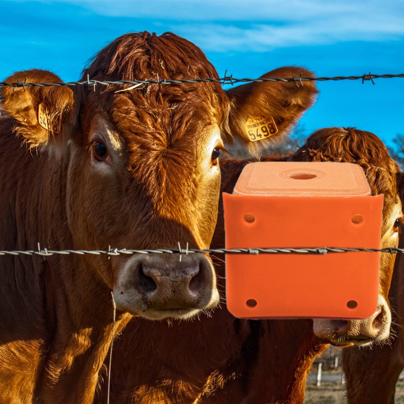 ULTECHNOVO Mineral Salt Block Holder Livestock Salt Block Feeder Farm Animal Feeding Containers Salt Lick Feeding Boxes for Horses Cattle Sheep Orange