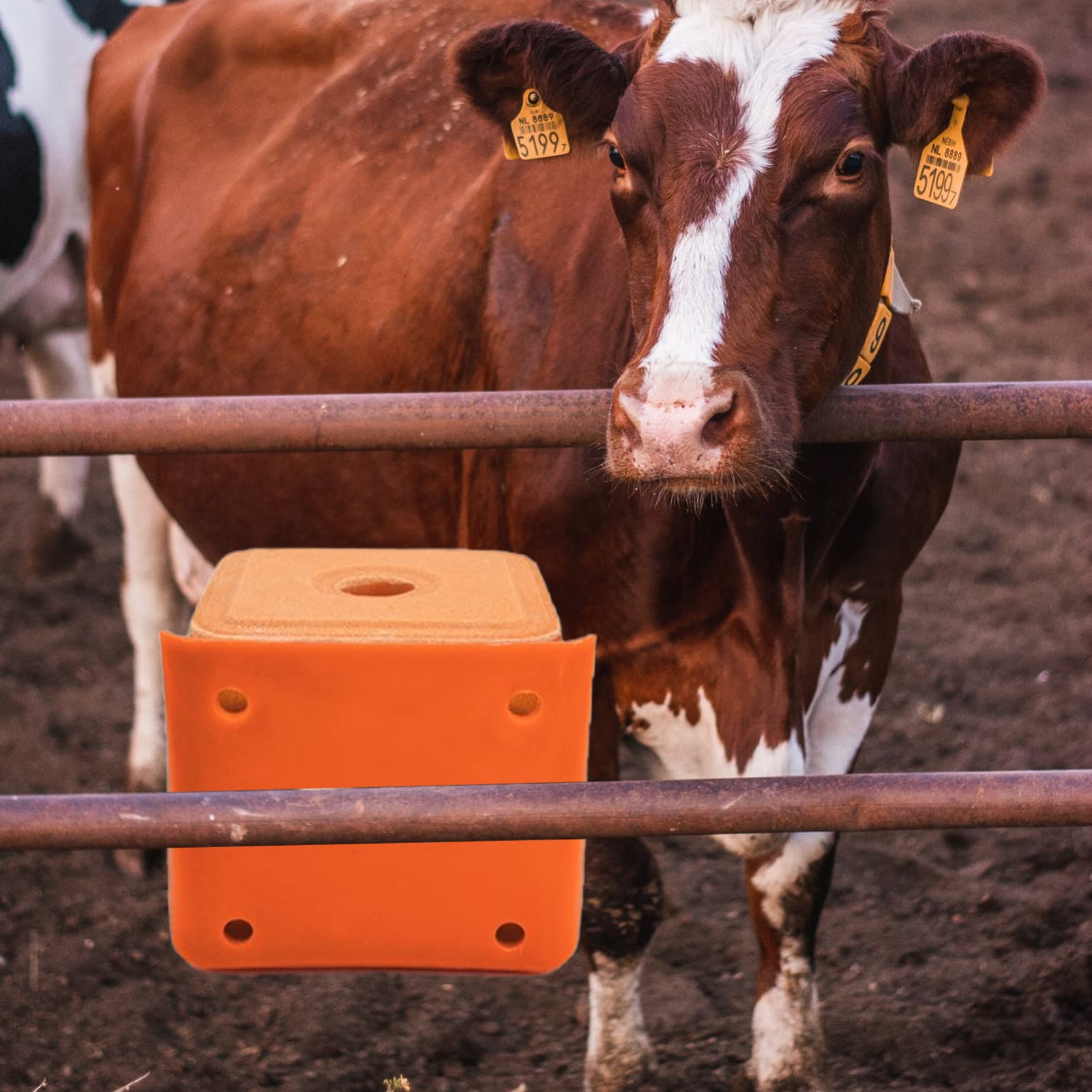 ULTECHNOVO Mineral Salt Block Holder Livestock Salt Block Feeder Farm Animal Feeding Containers Salt Lick Feeding Boxes for Horses Cattle Sheep Orange