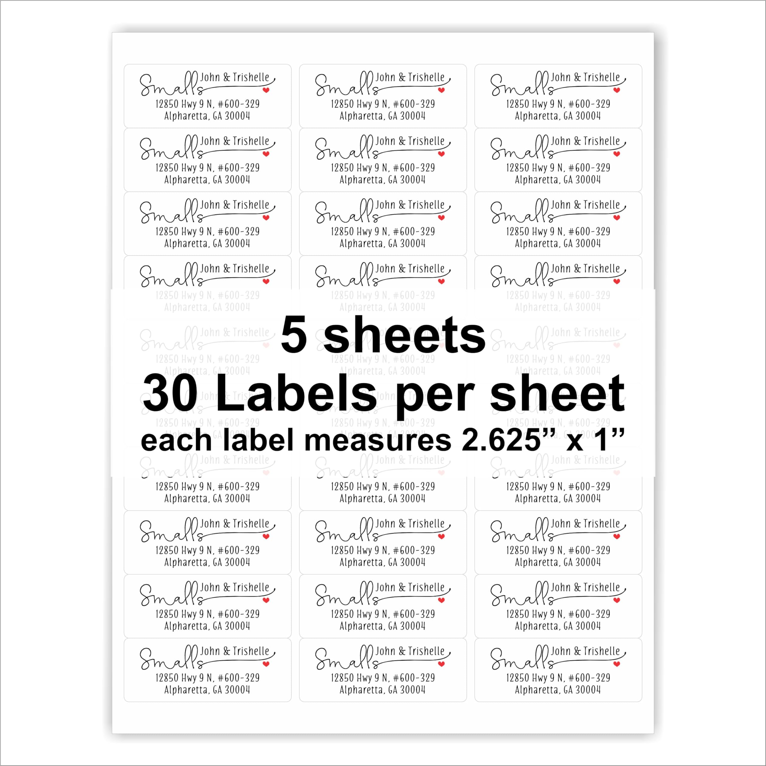 PrettySweetParty Clear Frosted Matte Finish Return Address Labels, Paper, 150 Labels, 5 Sheets, 30 Labels per Sheet, 2.625'' x 1''