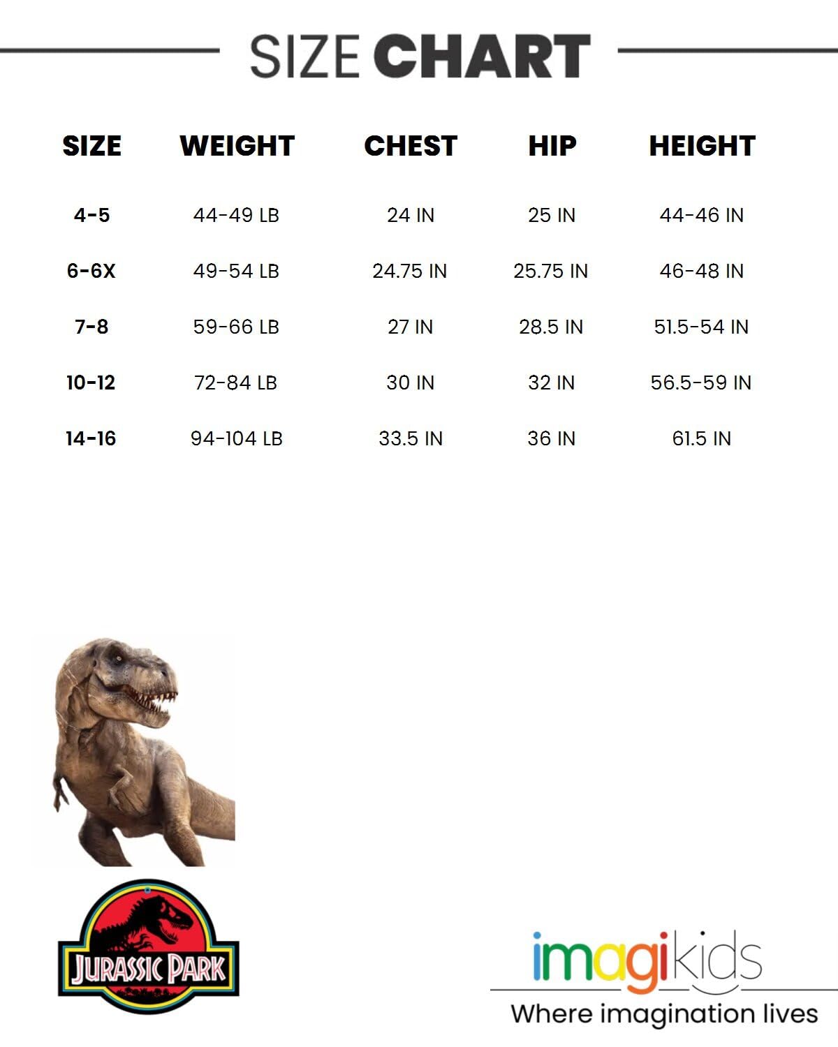 Jurassic World Dinosaur T-Rex Big Boys Fleece Zip Up Hoodie and Jogger Pants Set Logo Gray 10-12