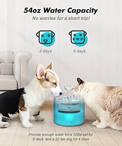 NPET WF100 Cat Water Fountain, 54oz/1.6L Automatic Pet Fountain Cat Water Dispenser with 2 Flow Modes, Light Quiet Pump for Cats (Adapter Not Included)