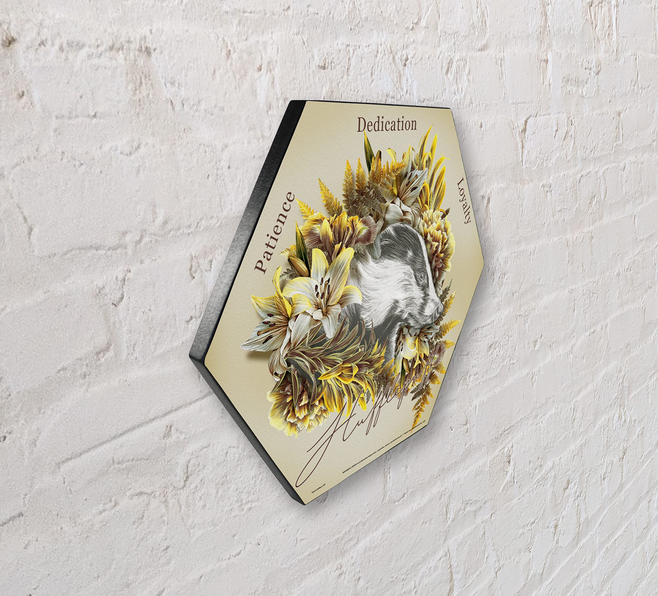 Trend Setters Harry Potter - Hufflepuff - Utilitarian Romance - 11.5” X 10” Hexagon KNEXAGON Wood Print – Tabletop Display, Hang Alone or Connect to Other Pieces – Officially Licensed Collectible