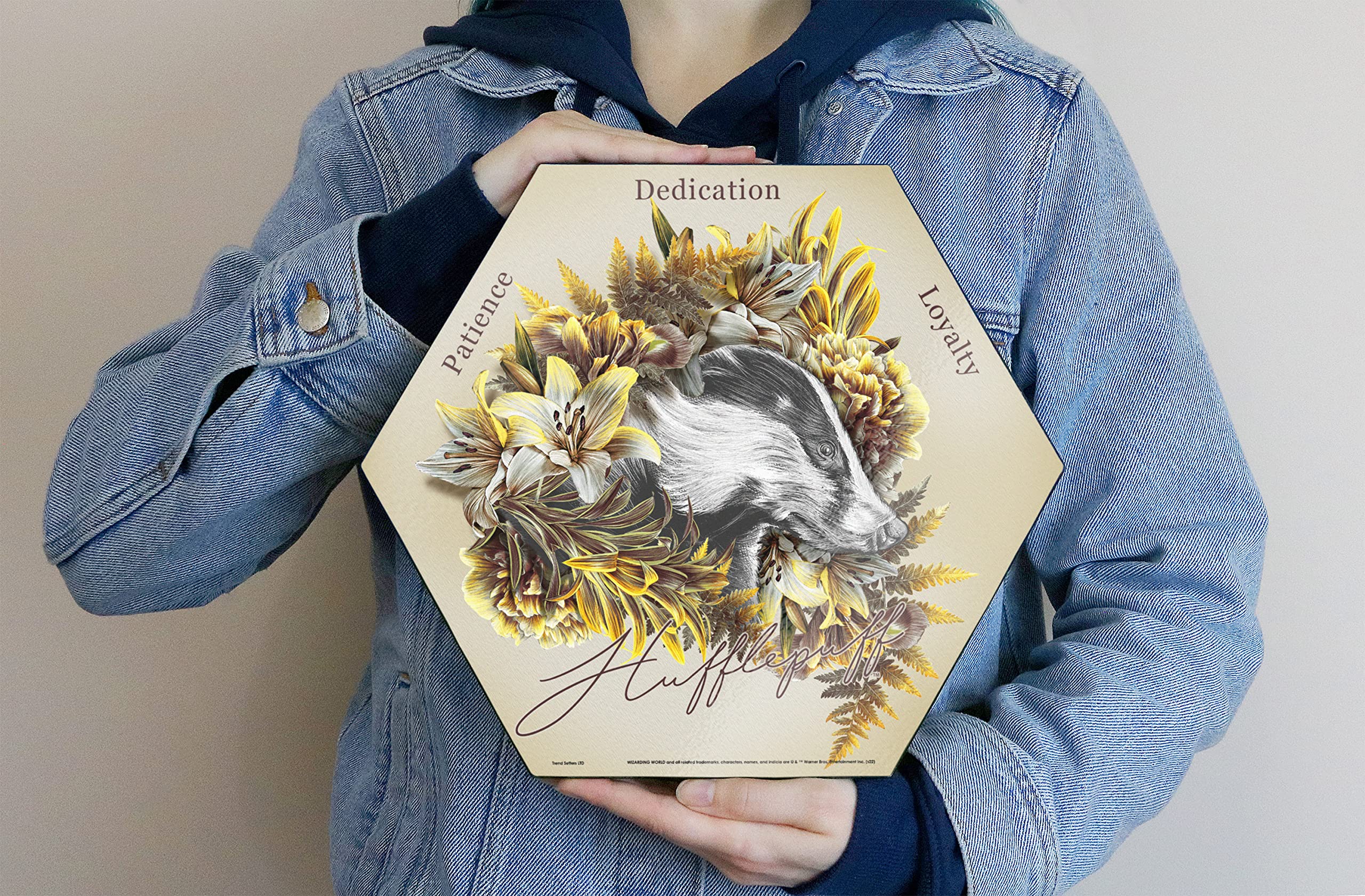Trend Setters Harry Potter - Hufflepuff - Utilitarian Romance - 11.5” X 10” Hexagon KNEXAGON Wood Print – Tabletop Display, Hang Alone or Connect to Other Pieces – Officially Licensed Collectible