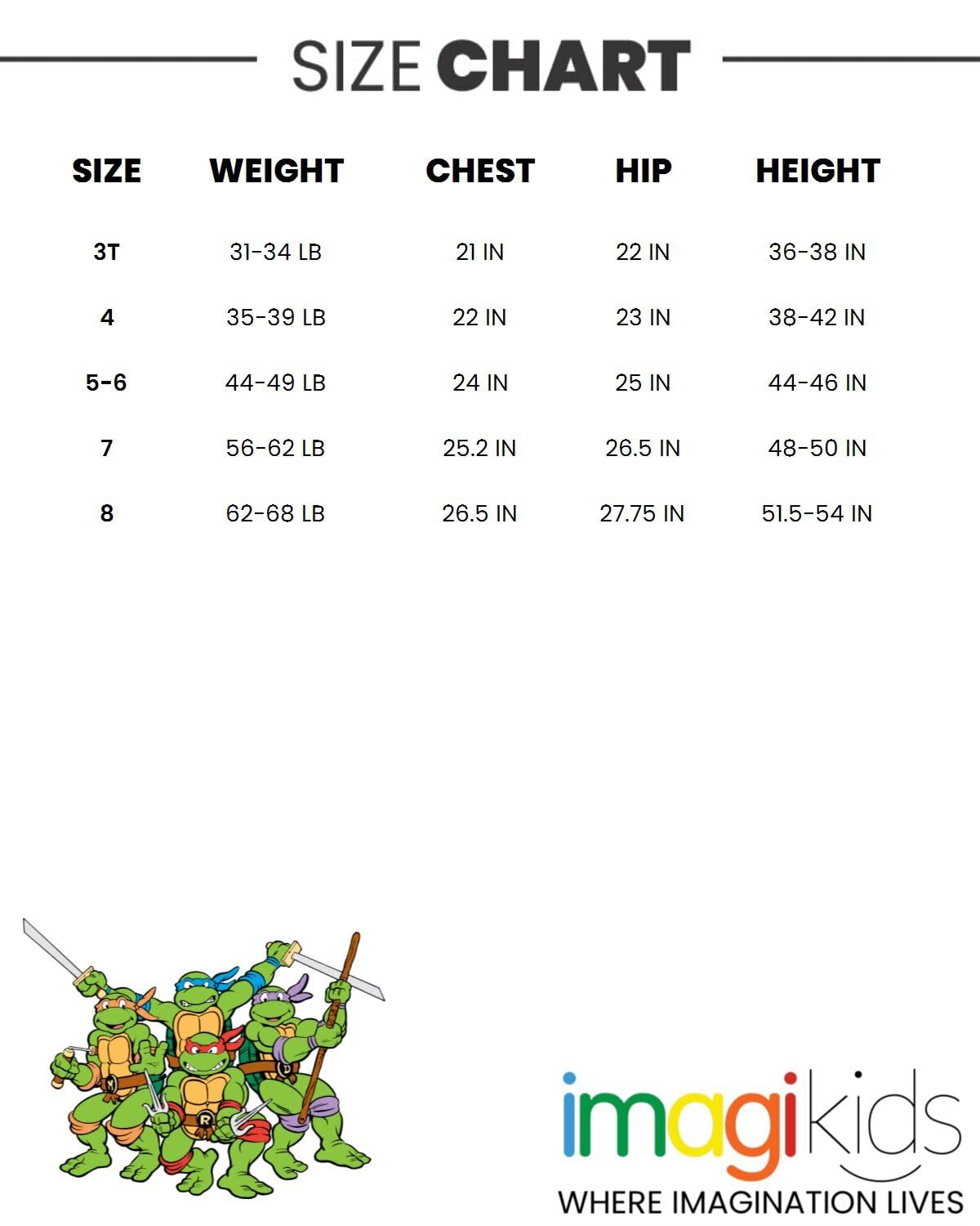 Teenage Mutant Ninja Turtles Michelangelo Raphael Leonardo Big Boys Fleece Pullover Hoodie Pants Gray/Green 14-16