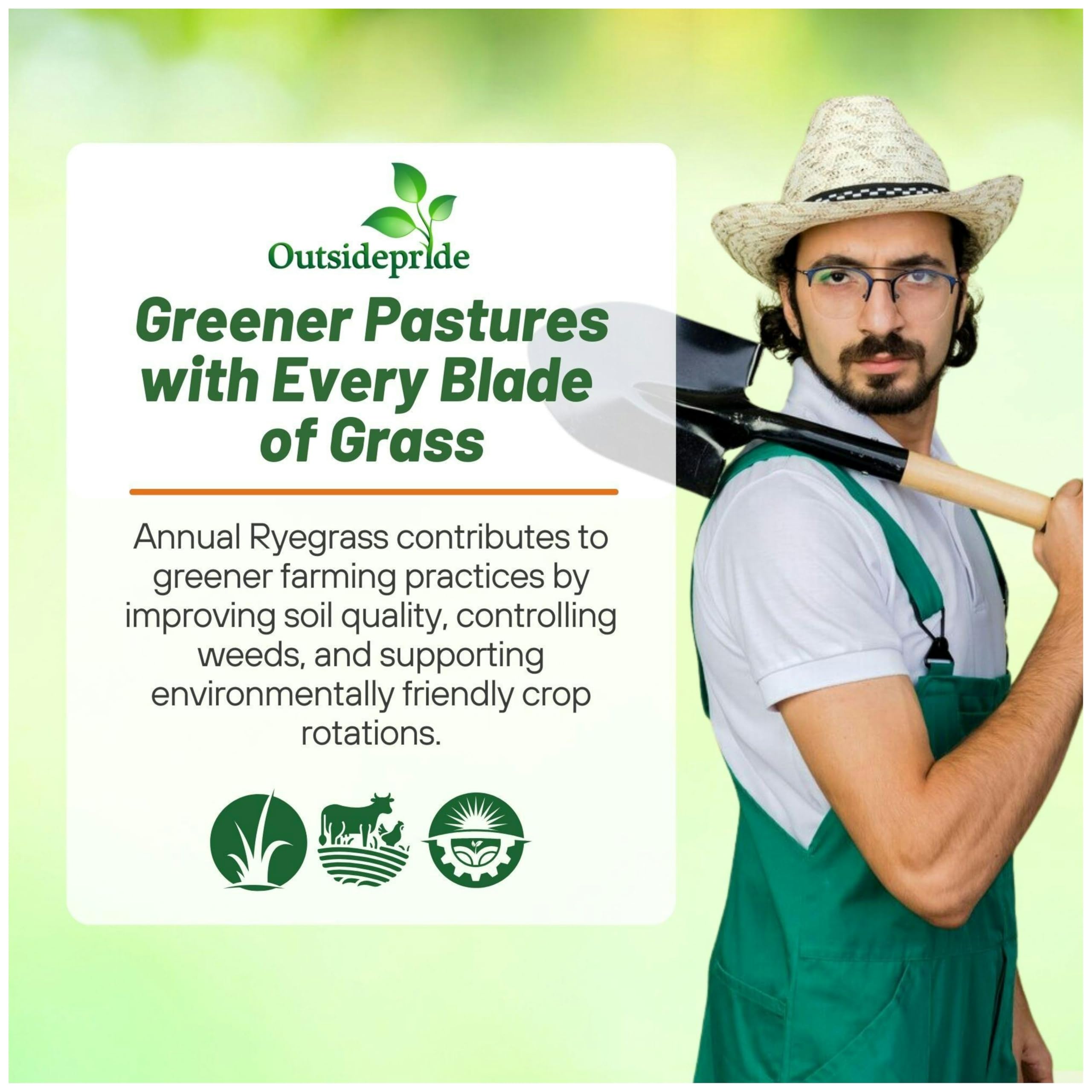 Outsidepride 25 lb. Annual Ryegrass Hay, Forage, & Pasture Seed