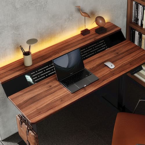 Fenge Standing Desk,55x24 Inches Electric Height Adjustable Stand up Desk,2 Tier Sit Stand Home Office Desk,Memory Computer Standing Table Ergonomic Workstation