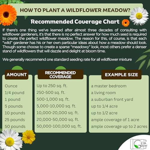 Mini Wildflower Seed Shaker - Save The Bees Seed Mix, by GevaGrow | 80,000+ Seeds | Pollinator & Bee Attracting Flower Seeds Bulk for Planting in Pots & Outdoor Gardens | 2 Ounce