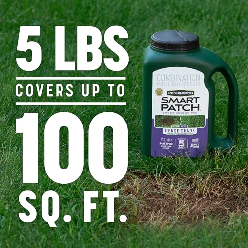 Pennington Smart Patch Dense Shade Mix Jug 5 lb