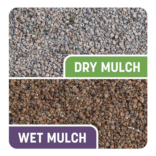 Pennington Smart Patch Dense Shade Mix Jug 5 lb