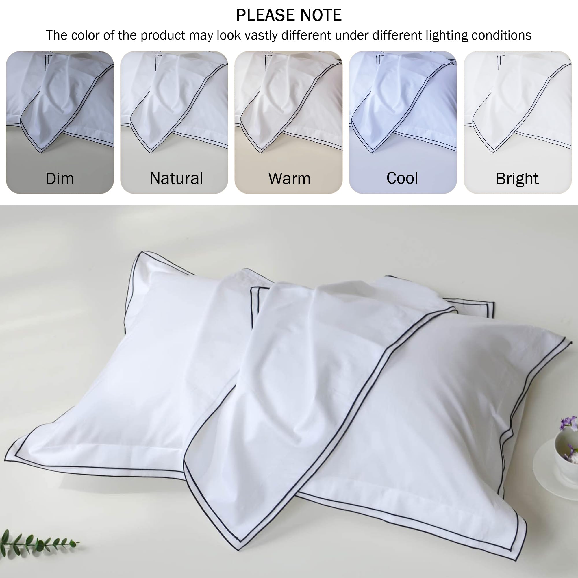 RANZNAZ Set of 2 Elegant Embroidery Pillowcases, Queen Size, 100% Cotton - White Good Feeling Shams, Elegant Trims, Softer and Breathable Pillow Covers, 20x30 inches
