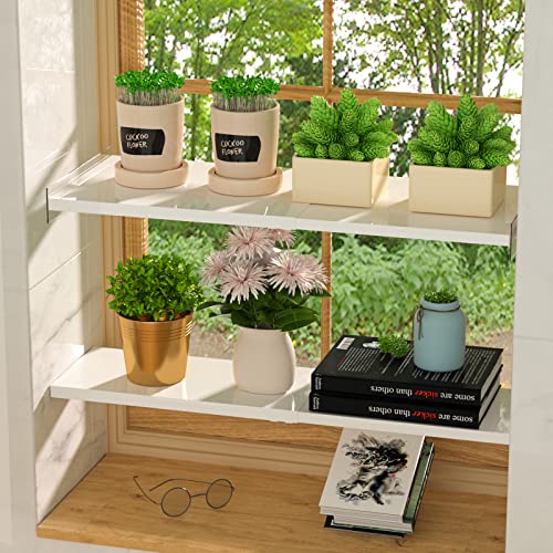 GNEOUS Greal Adjustable Closet Shelves Heavy Duty Wardrobe Organizer Expandable Storage Shelves Rack Closet Dividers Separators for Kitchen Bathroom Bedroom Garage, 19.67" Width Max