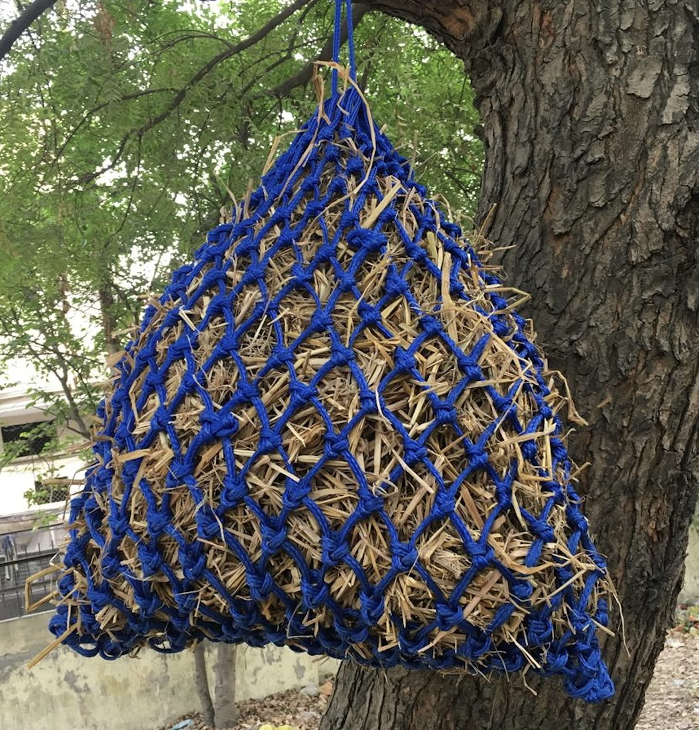 Majestic Ally 2βx2β Holes Highly Durable Very Sturdy 36" Hay Net with for Horses, Goat, Travel Feeder for Trailer and Stall, Reduces Waste (Royal Blue)