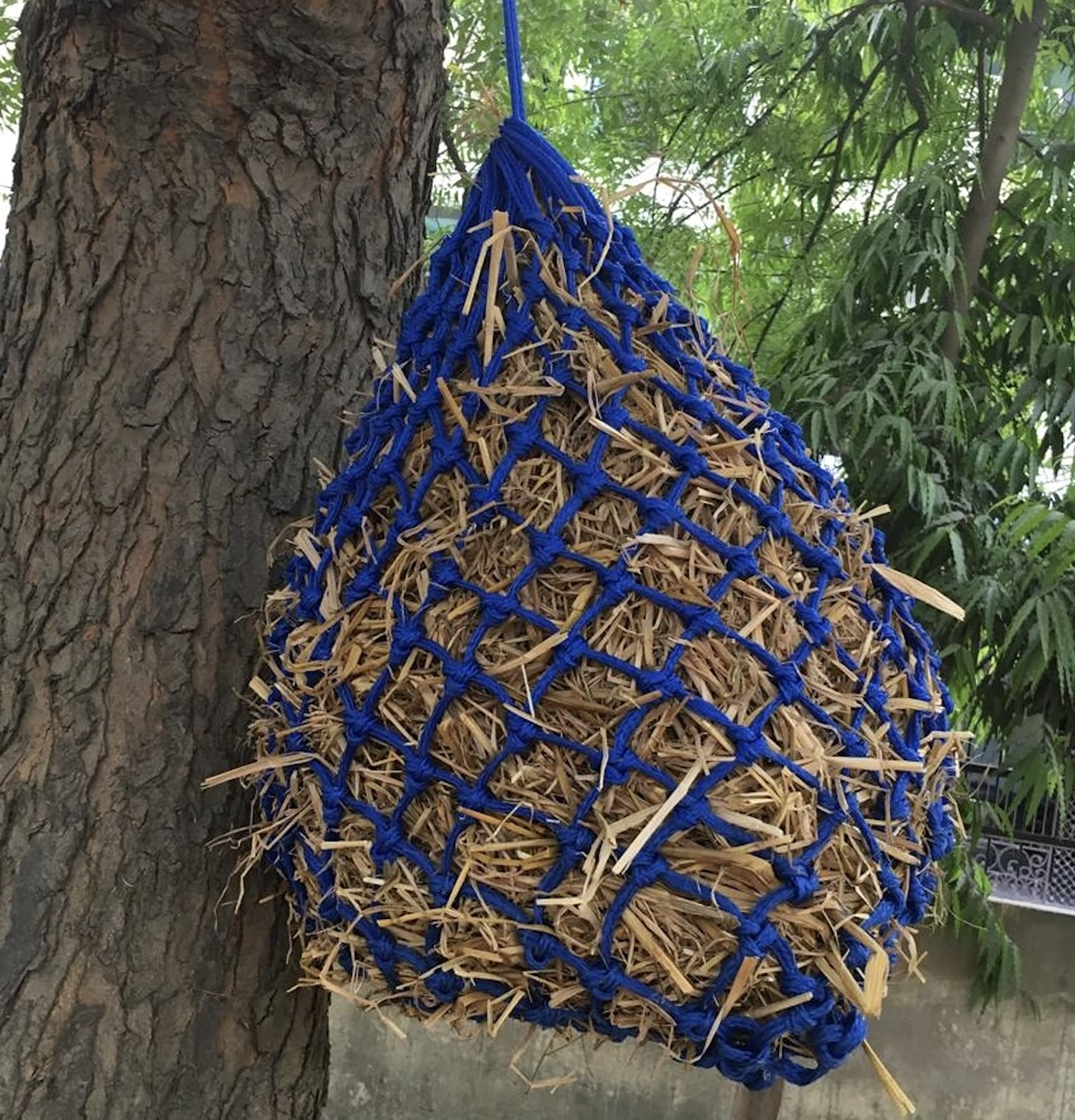 Majestic Ally 2βx2β Holes Highly Durable Very Sturdy 36" Hay Net with for Horses, Goat, Travel Feeder for Trailer and Stall, Reduces Waste (Royal Blue)