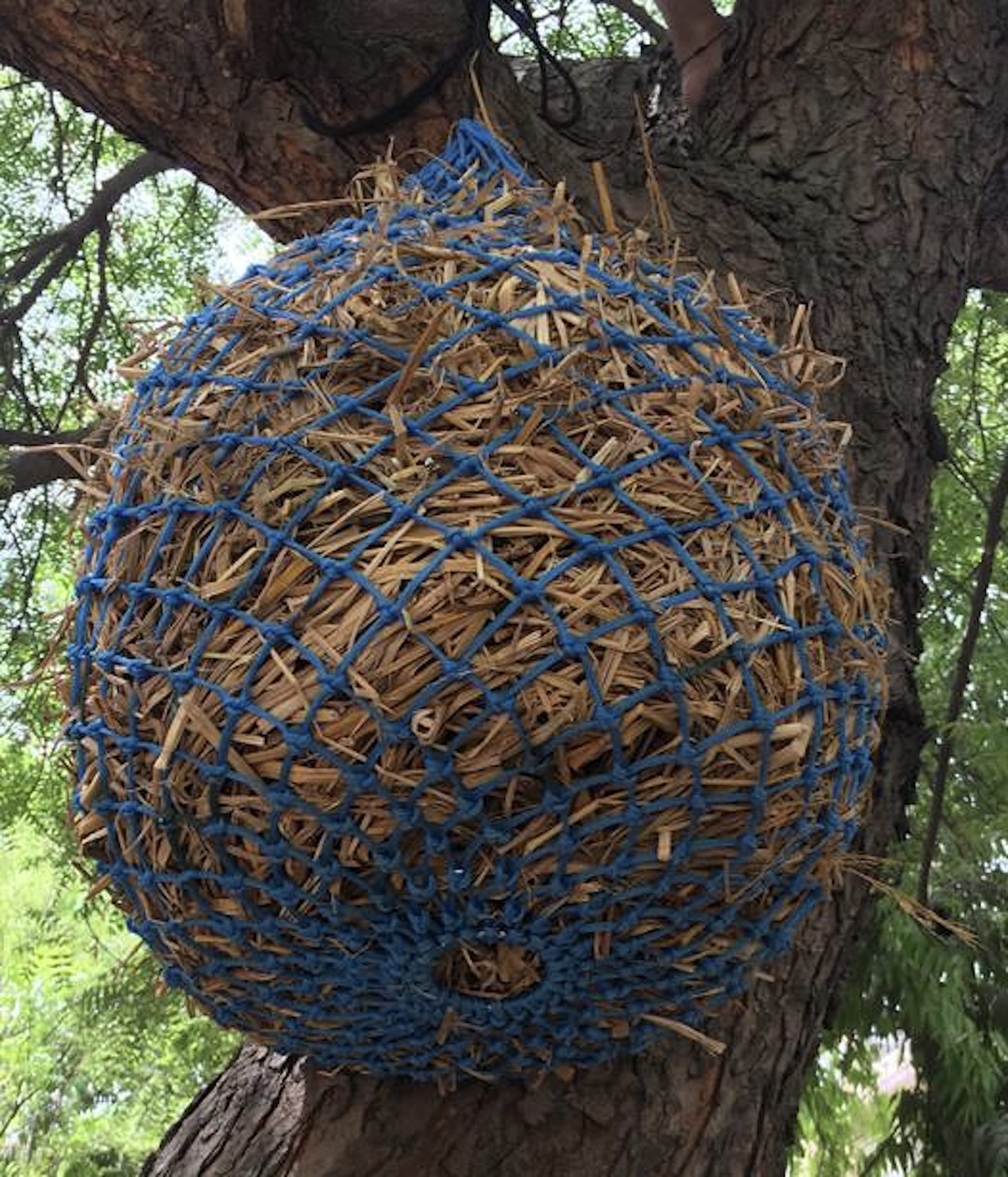 Majestic Ally 2 Pcs 1.25βx1.25β Holes Ultra Slow Feed 40β Very Sturdy Hay Net with Bottom Ring for Goat, Sheep and Livestock Simulatr grazing, Reduces Waste (Hurricane Blue)