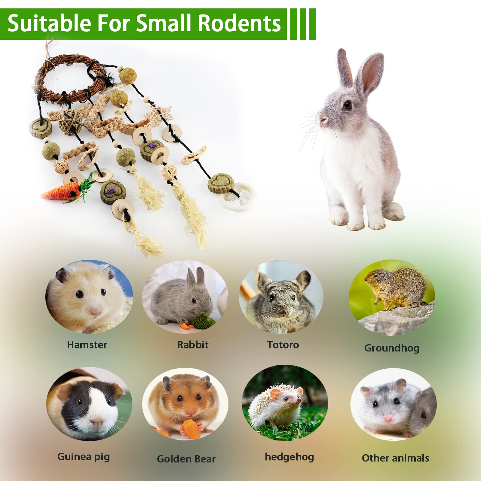 DAMPET 5 Strings, Bunny Teeth Grinding Chew Toys, Rabbit Cage Hanging Chew Toys, All Natural Materials for Guinea Pigs, Hamsters, Rabbits and Rats