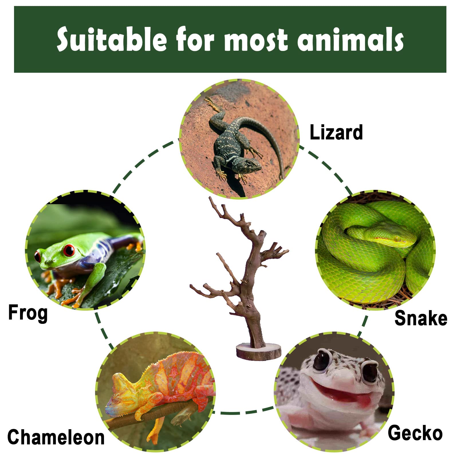 BNOSDM Reptile Grapevine Wood Decoration Resin Climb Tree Branch Decor Grape Wood Branches for Leopard Gecko Lizard Frog Snake Climbing