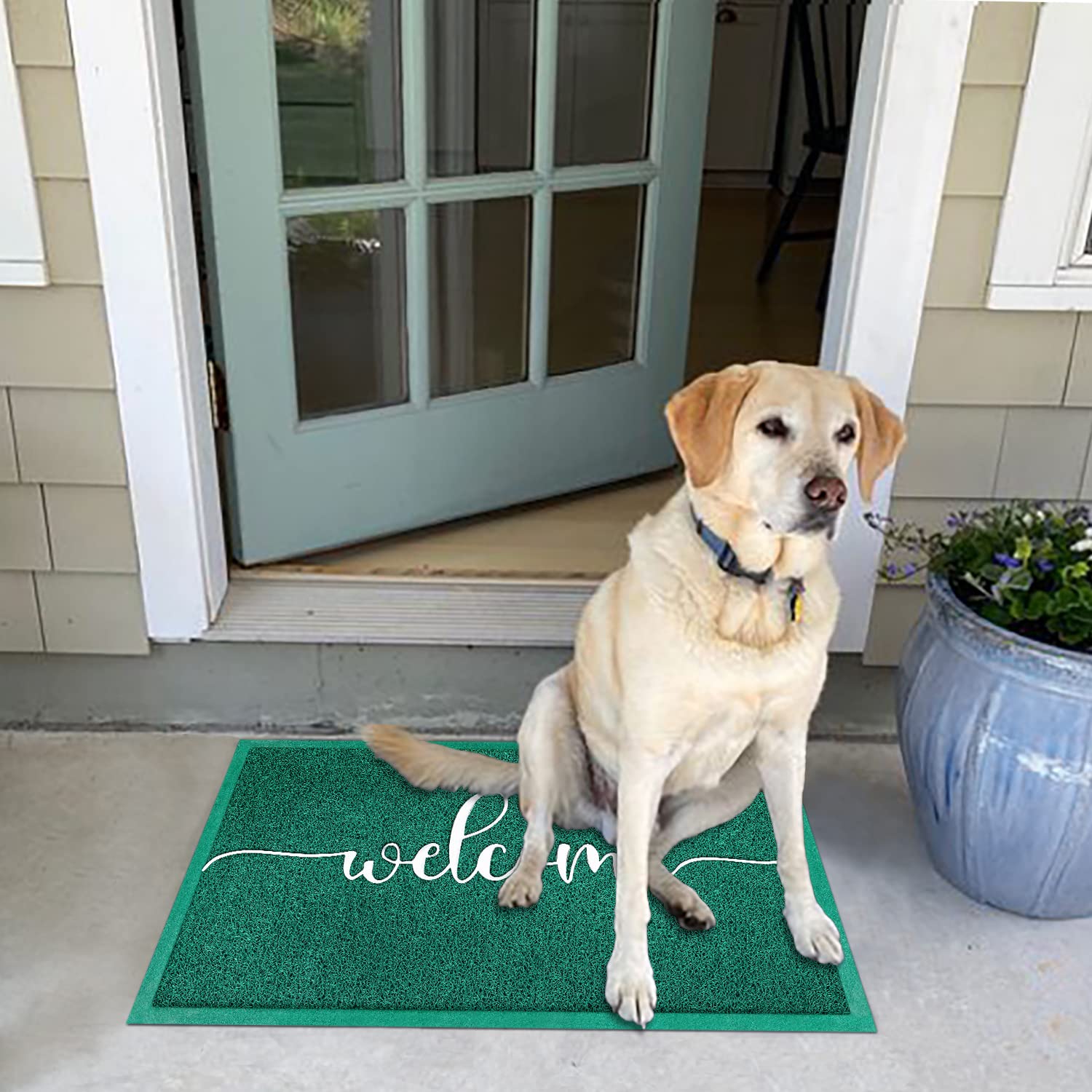 AAZZKANG Green Door Mat Outdoor Welcome Mat with Non Slip Rubber Backing Easy to Clean Entry Doormat for Indoor High Traffic Areas Front Door