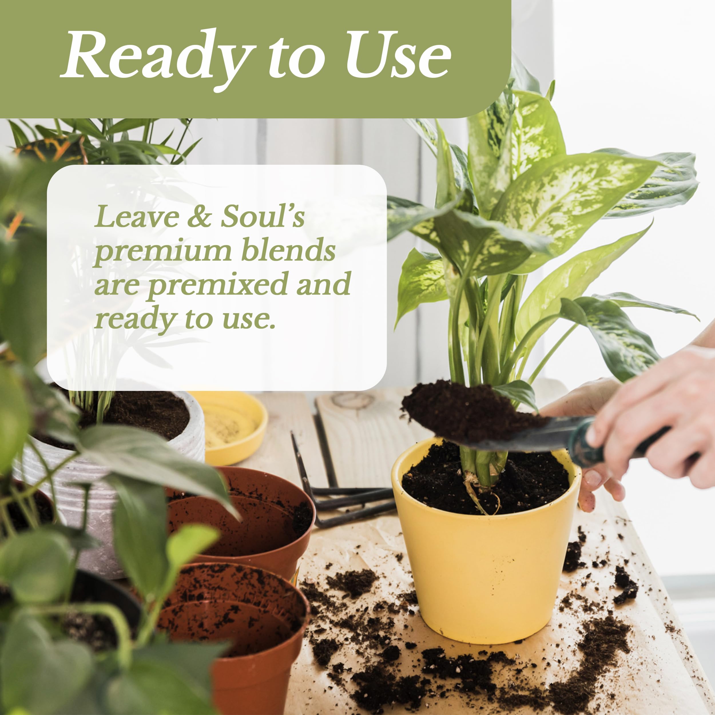 Indoor Plant Soil Premium All Purpose Blend | Large 2.2 Quarts | Ready to Use for Indoor Container and Houseplants | Peat, Coco Coir, Perlite, Dolomite | Made in USA