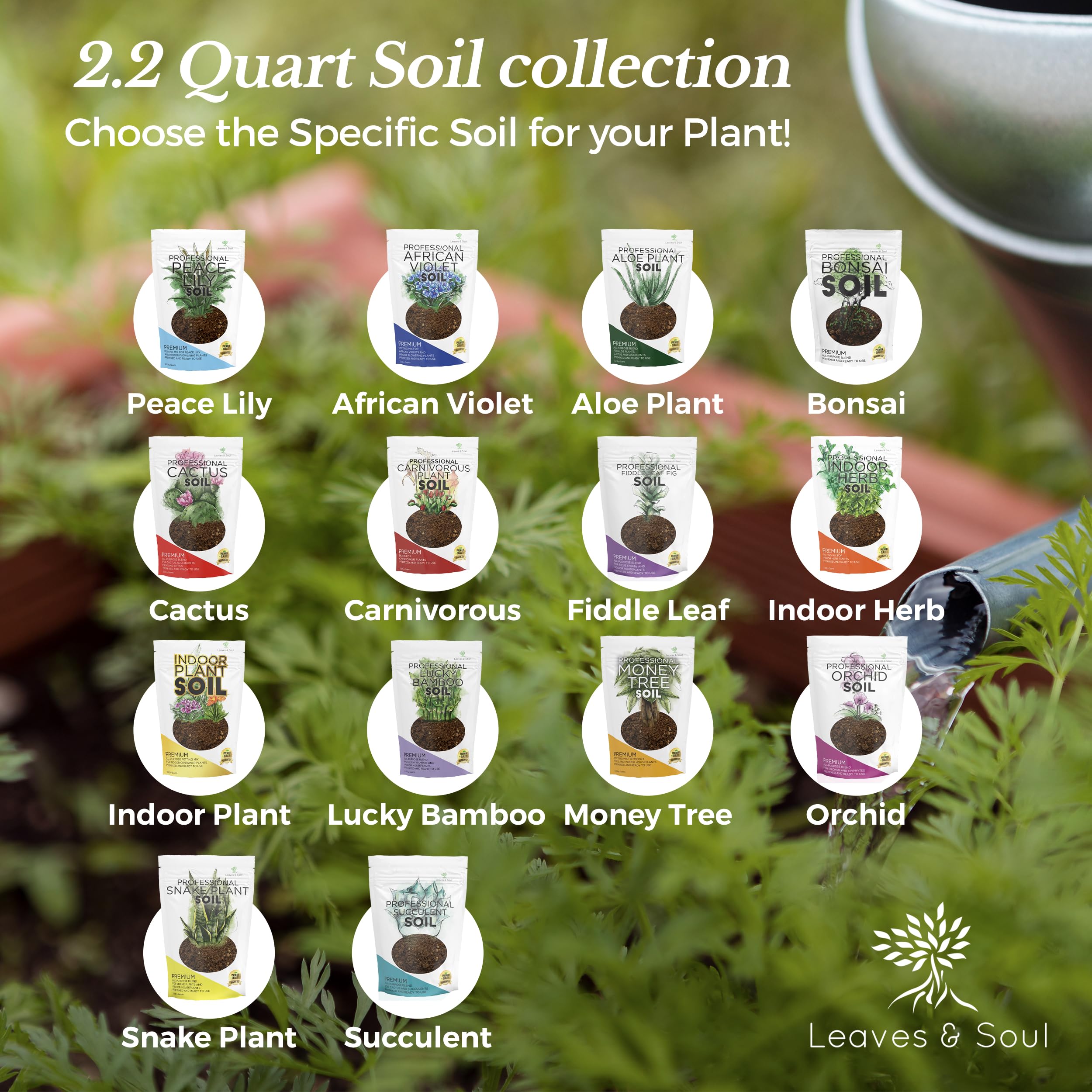 Indoor Plant Soil Premium All Purpose Blend | Large 2.2 Quarts | Ready to Use for Indoor Container and Houseplants | Peat, Coco Coir, Perlite, Dolomite | Made in USA