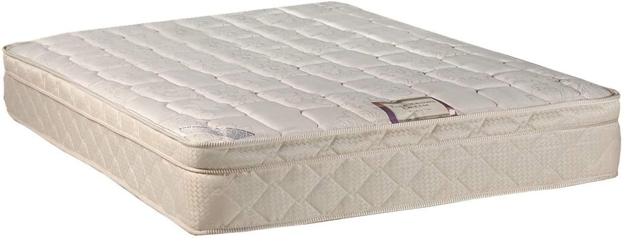 Dream Solutions USA DS Solutions USA Medium Soft Innerspring Mattress Only with Mattress Cover Protector - Good for Your Back, Fully Assembled, Orthopedic (Queen 60"x80"x10")