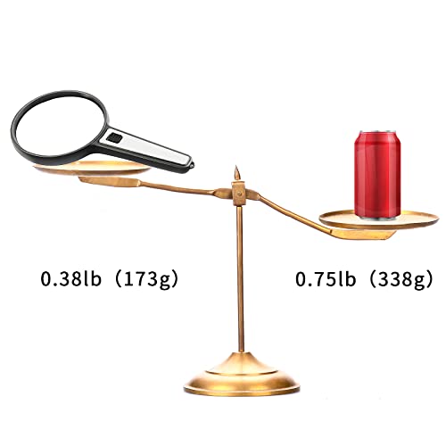 Magnifying Glass with Light, 10X 20X High Magnification, Large Handheld Magnifier with 4 LED Light, Suitable for Low Vision Seniors Reading, Jewelry, Coin, Science.