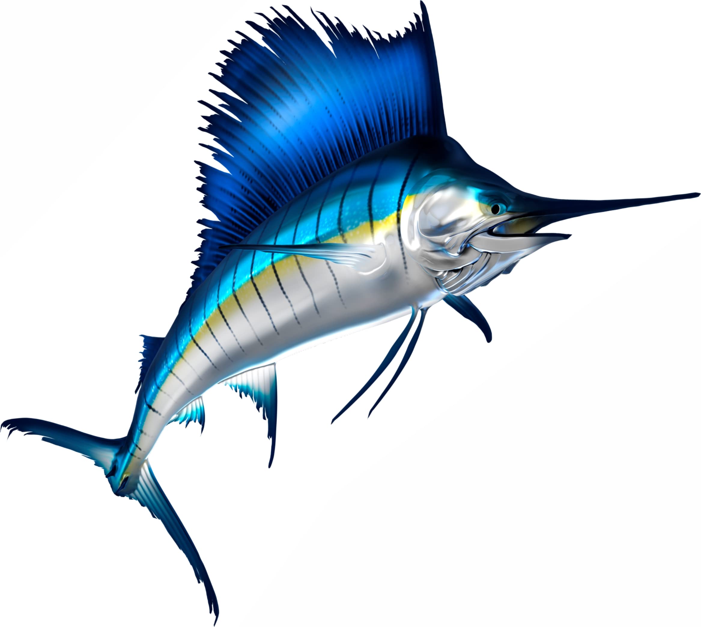Sail Fish Beautiful Fish Decal | Fishing Decal for Boat, Car, Vehicle, Truck Etc. | Waterproof Vinyl Sticker | Many Sizes & Styles Available | 12" to 40" by Digital Fish Art (Small, Position 2)