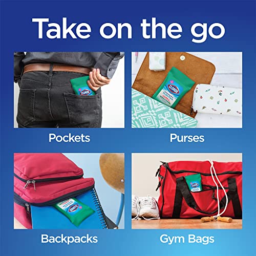 Clorox Disinfecting On The Go Travel Wipes, Fresh Scent, 9 Count, Pack of 24 (Package May Vary)