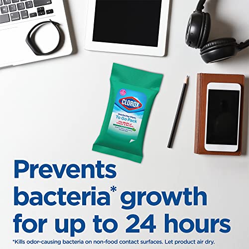 Clorox Disinfecting On The Go Travel Wipes, Fresh Scent, 9 Count, Pack of 24 (Package May Vary)