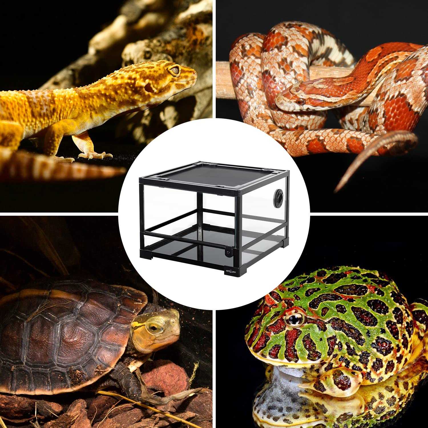 REPTIZOO 18 Gallon Glass Reptile Terrarium 18"x18"x12" Knock Down Reptile Tank with Front Opening Door,Reptile Enclosure for Leopard Gecko, Lizard, Tarantulas, Arboreal Frog