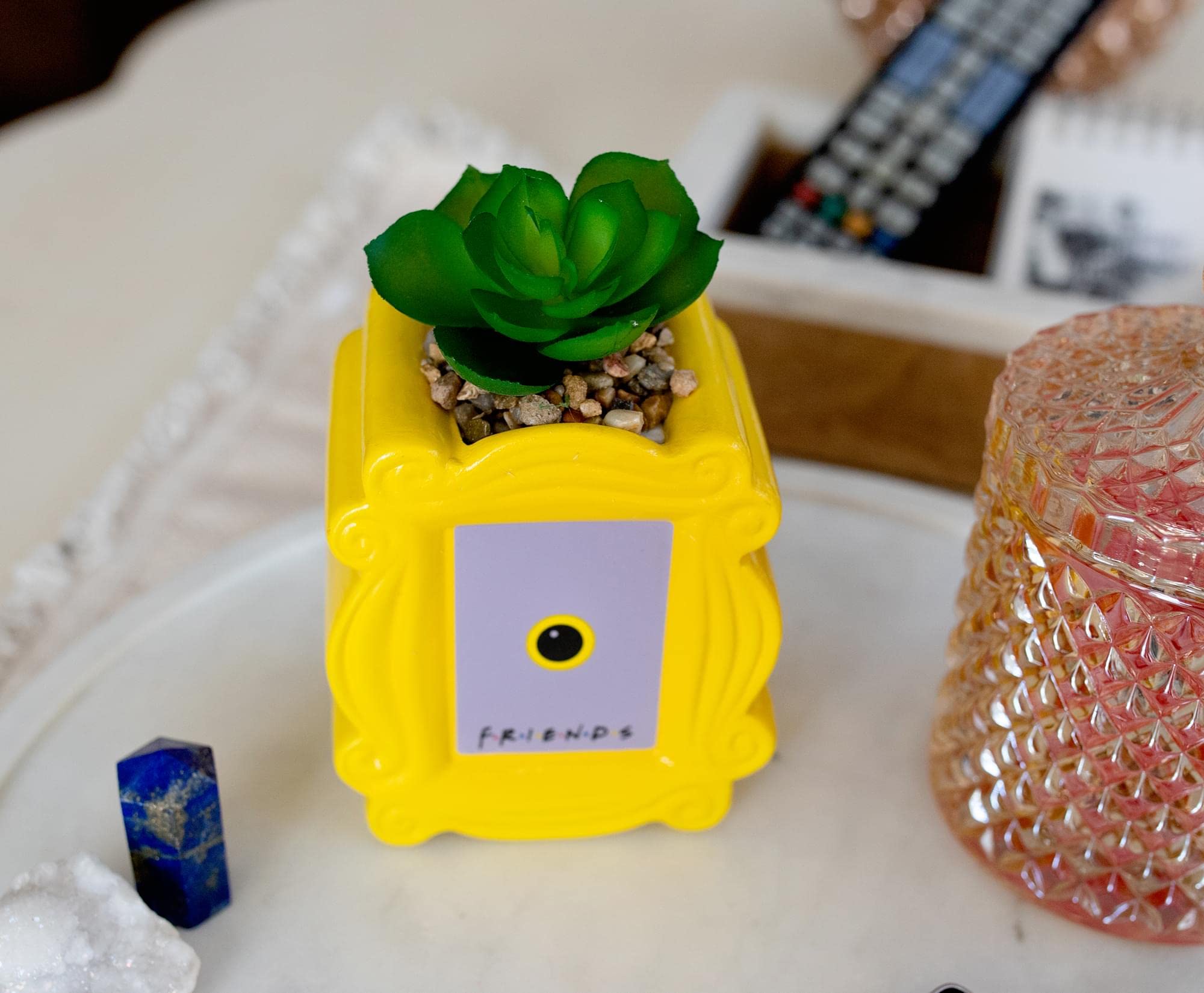 BoxLunch Friends Peephole Frame Faux Succulent Planter