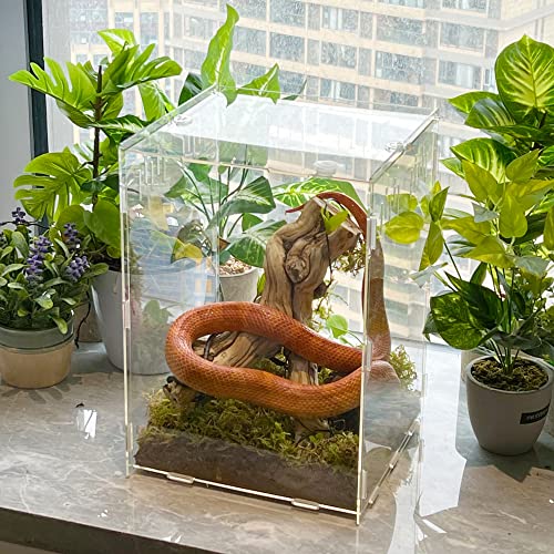 winemana Reptile Terrarium Aquarium Breeding Tank, 14.5" x 10.5" x 10" Acrylic Tarantula Enclosure Feeding Box Insect Habitat for Tarantula Spider Snake Lizard Hermit Crab Insect