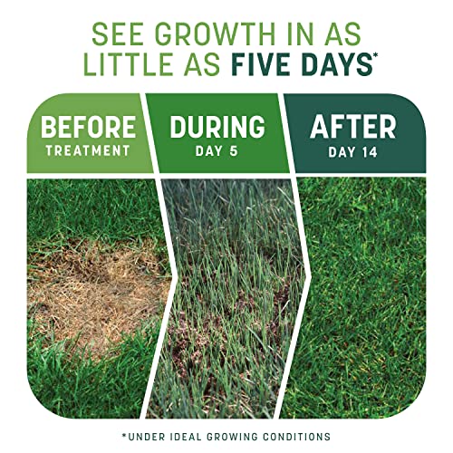 Pennington Smart Patch Tall Fescue Mix Jug 5 lb