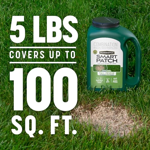 Pennington Smart Patch Tall Fescue Mix Jug 5 lb
