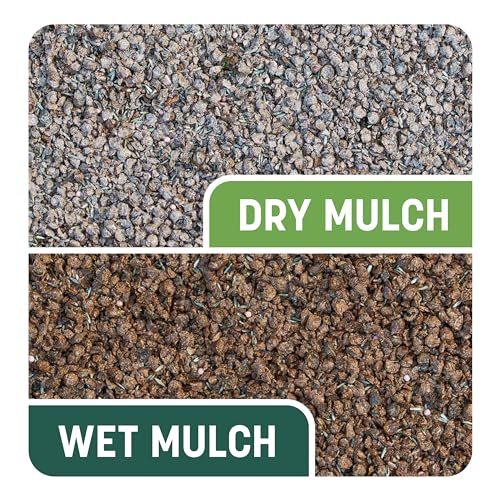 Pennington Smart Patch Tall Fescue Mix Jug 5 lb