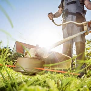 Terre Products - Residential Grade 065 Trimmer Line Square, 1 lb. Quality Weed Wacker String, Line Length 564 ft. or 172m, Weed Eater String Size .065 in. or 1.65mm