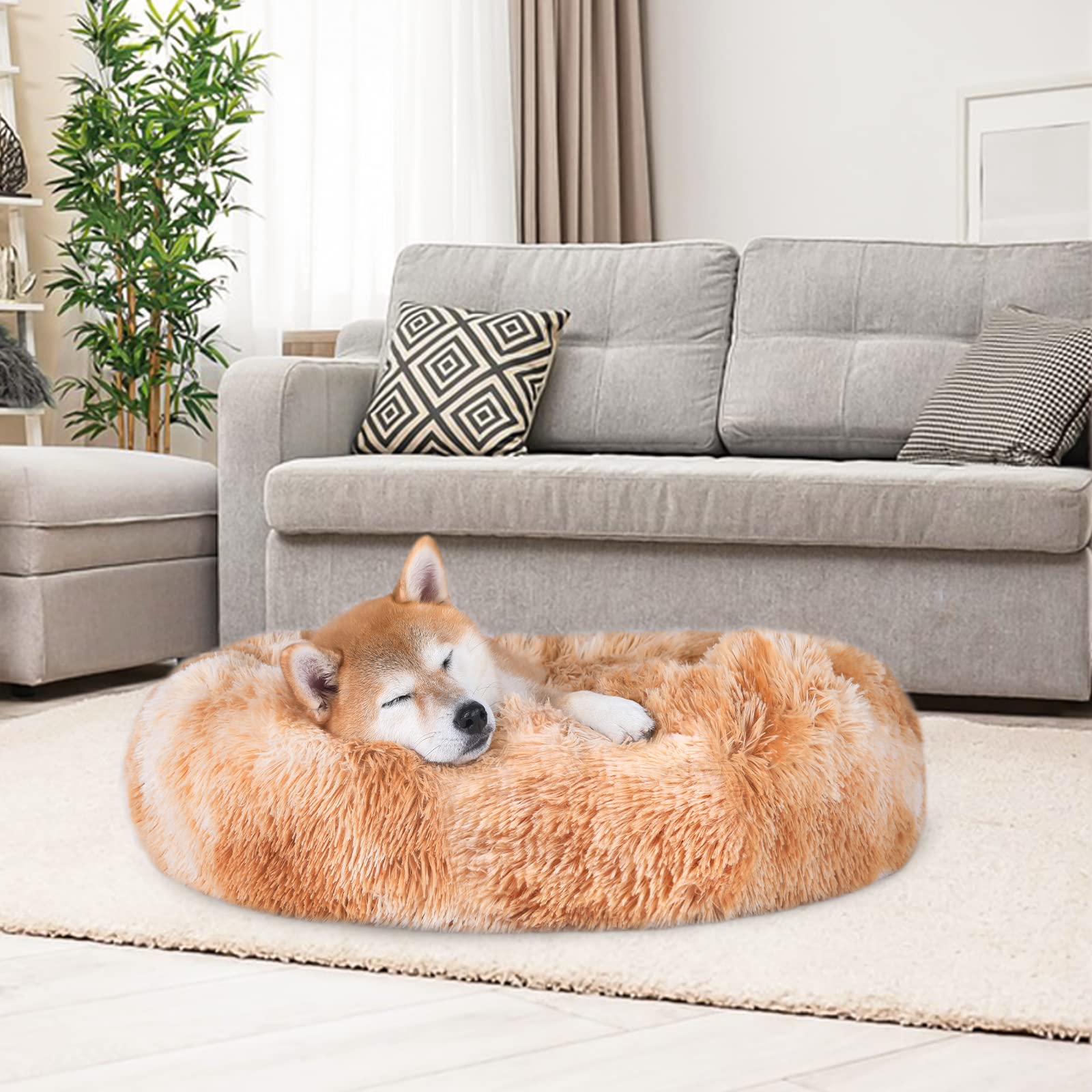 VIVAGLORY Plush Dog Bed, Fluffy Pet Bed, Self-Warming Dog Cat Calming Bed with Removable Middle mat, Suitable for Cat & Tiny Dog, Gradient-Beige