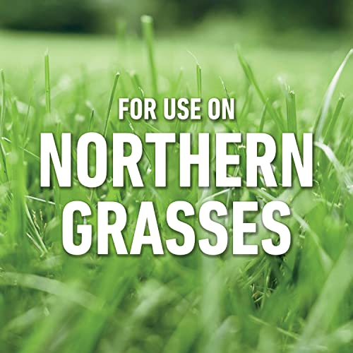 Roundup For Lawns₂ Concentrate, Weed Killer for Northern Grasses, Kills Crabgrass, 32 fl. oz.