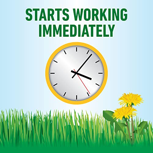 Roundup For Lawns₂ Concentrate, Weed Killer for Northern Grasses, Kills Crabgrass, 32 fl. oz.