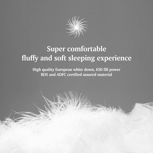 Beautyrest White Goose Down Comforter King Size - All Seasons Warmth Sateen Cotton European Down Duvet Insert 650 Fill Power Feather Down Comforter Insert Made in USA