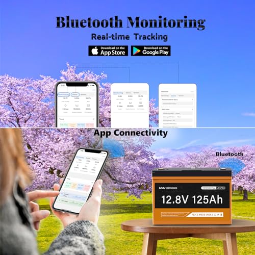 12V 100Ah LiFePO4 Rechargeable Battery,32F Charging Cut off, IP65, 1280Wh, Built-in 100A BMS Lithium-Ion Phosphate Deep Cycle Battery, Replace for SLA/AGM, RV, Boats, Wheelchairs, Golf Cart