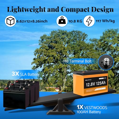 12V 100Ah LiFePO4 Rechargeable Battery,32F Charging Cut off, IP65, 1280Wh, Built-in 100A BMS Lithium-Ion Phosphate Deep Cycle Battery, Replace for SLA/AGM, RV, Boats, Wheelchairs, Golf Cart