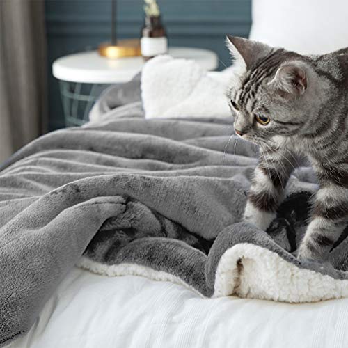 LBRO2M Sherpa Fleece Bed Blanket Twin Size Super Soft Fuzzy Plush Warm Cozy Fluffy Microfiber Couch Throw Velvet Double Reversible Blankets,Grey