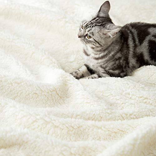 LBRO2M Sherpa Fleece Bed Blanket Twin Size Super Soft Fuzzy Plush Warm Cozy Fluffy Microfiber Couch Throw Velvet Double Reversible Blankets,Grey
