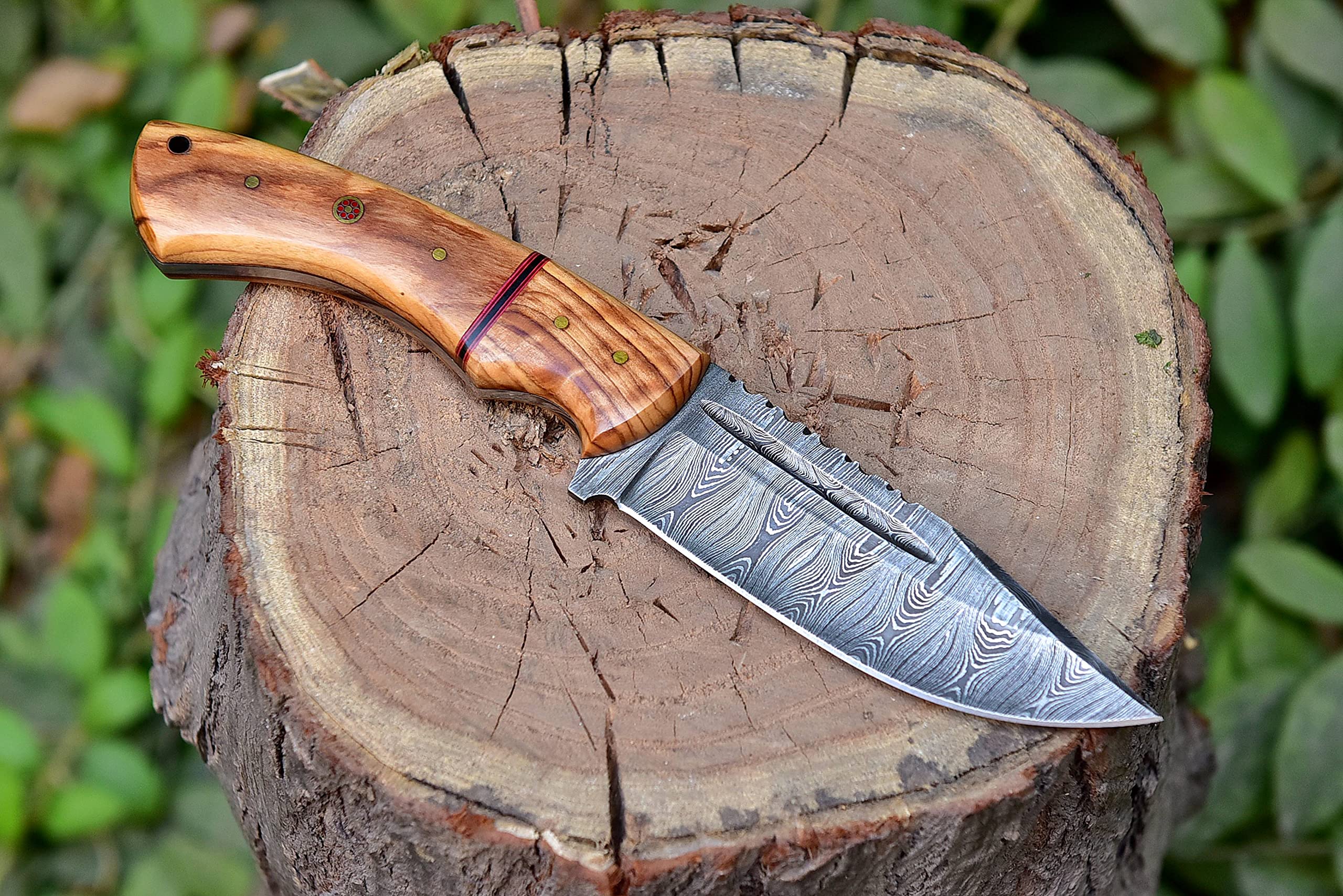 BG Knives Handmade Damascus Steel Hunting Fixed Blade Knife With Leather Sheath, Olive Wood Handle - 9.75" Length Full Tang Multipurpose Knife K-152