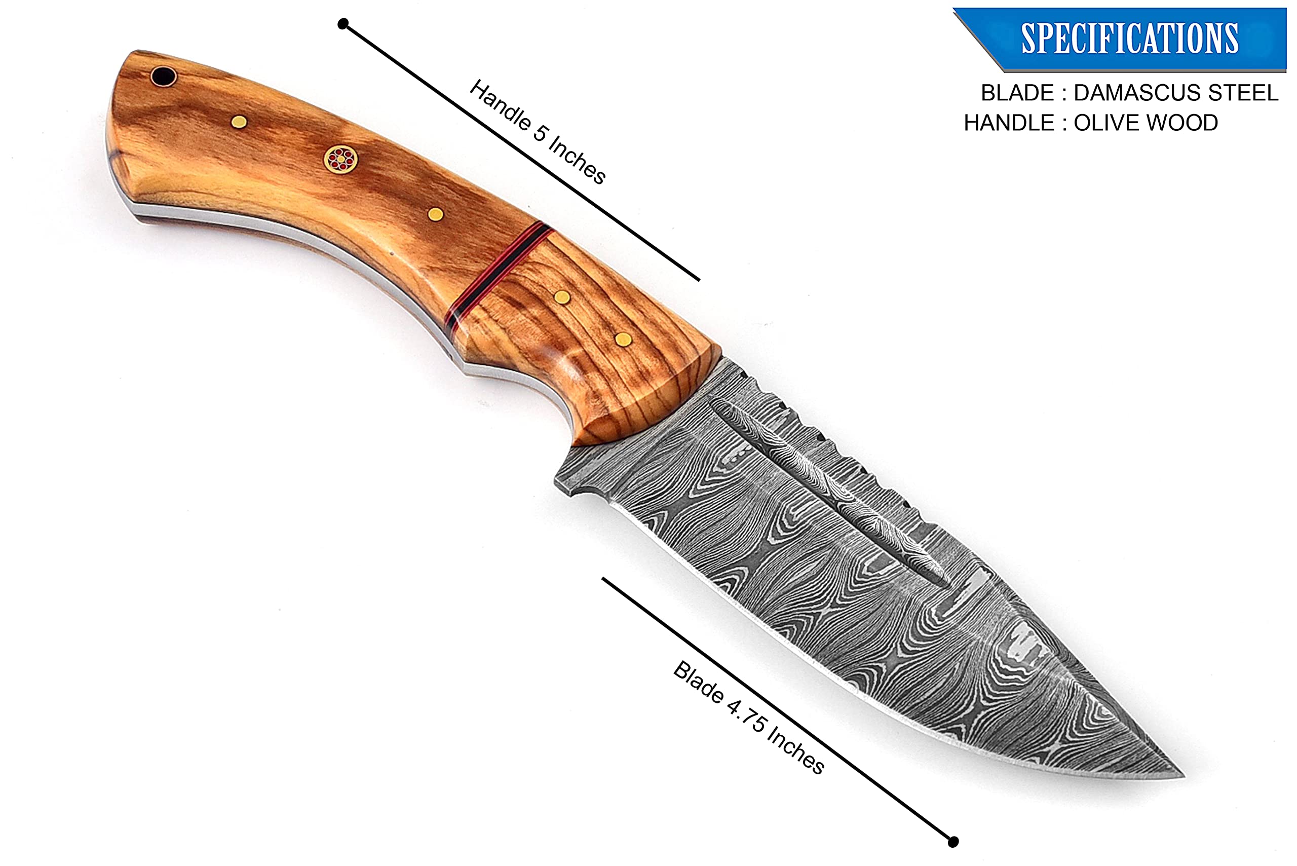 BG Knives Handmade Damascus Steel Hunting Fixed Blade Knife With Leather Sheath, Olive Wood Handle - 9.75" Length Full Tang Multipurpose Knife K-152