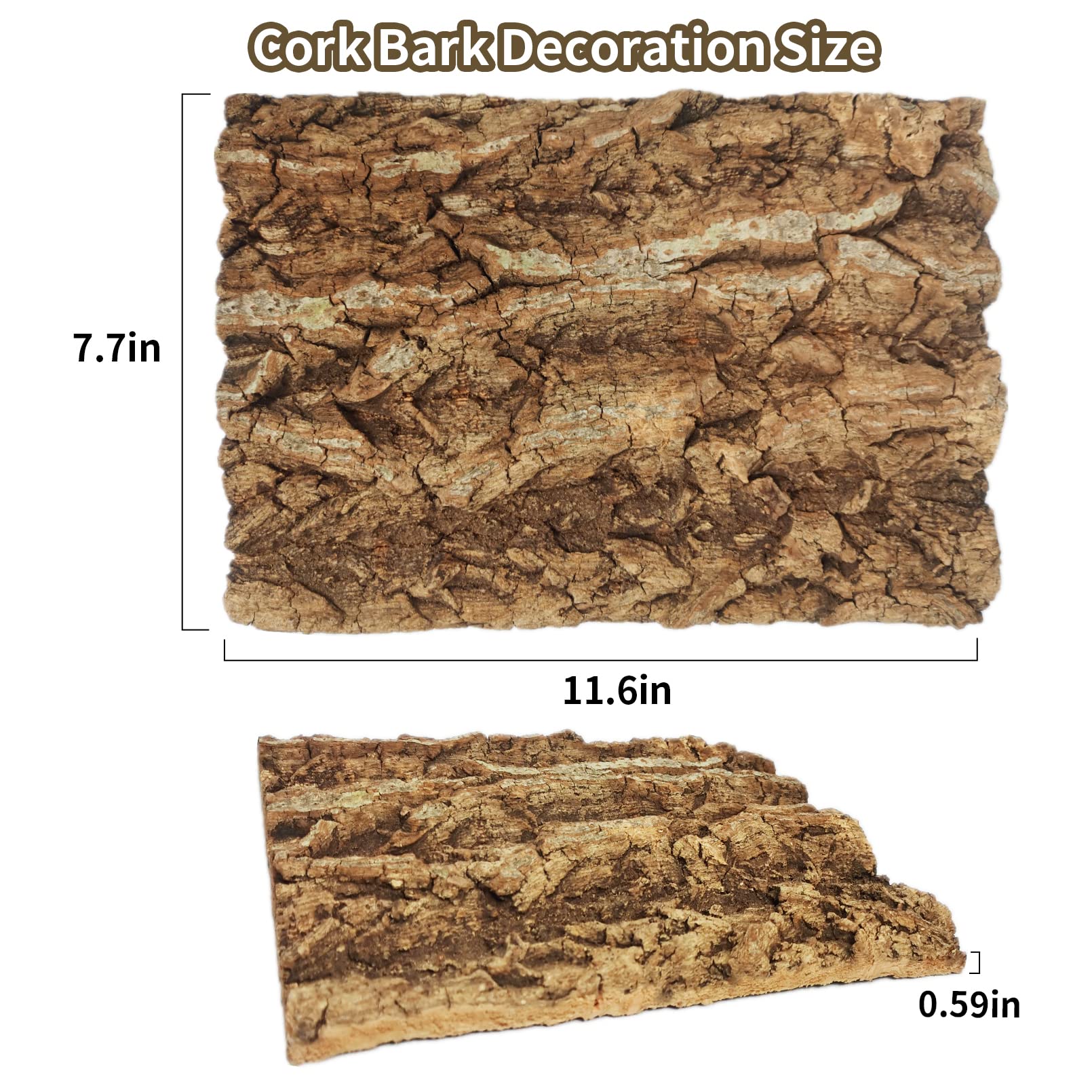 Fhiny 2 PCS Cork Bark Background, 11.6" x 7.7" Natural Cork Bark for Reptiles Tank Backdrop Reptile Climbing Wall Terrarium Decor Accessories for Turtle Beared Dragon Chameleon Snake